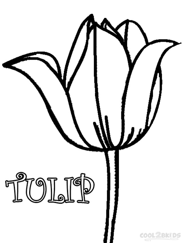 Printable Tulip Coloring Pages For Kids