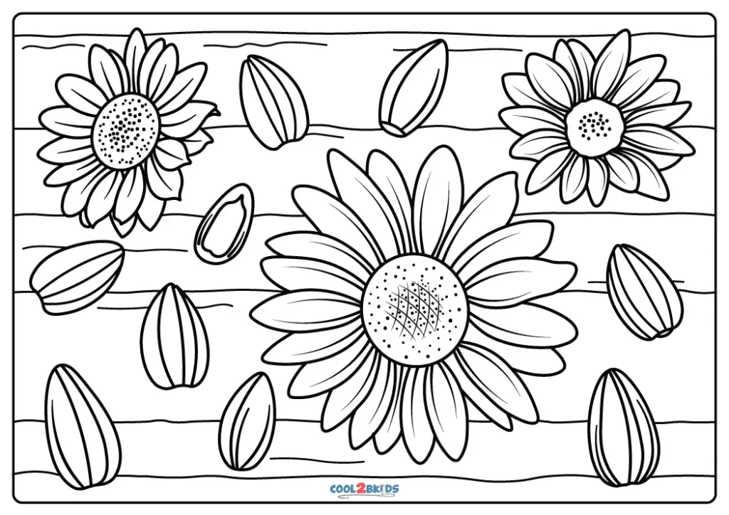 Sunflower Seed Coloring Pages