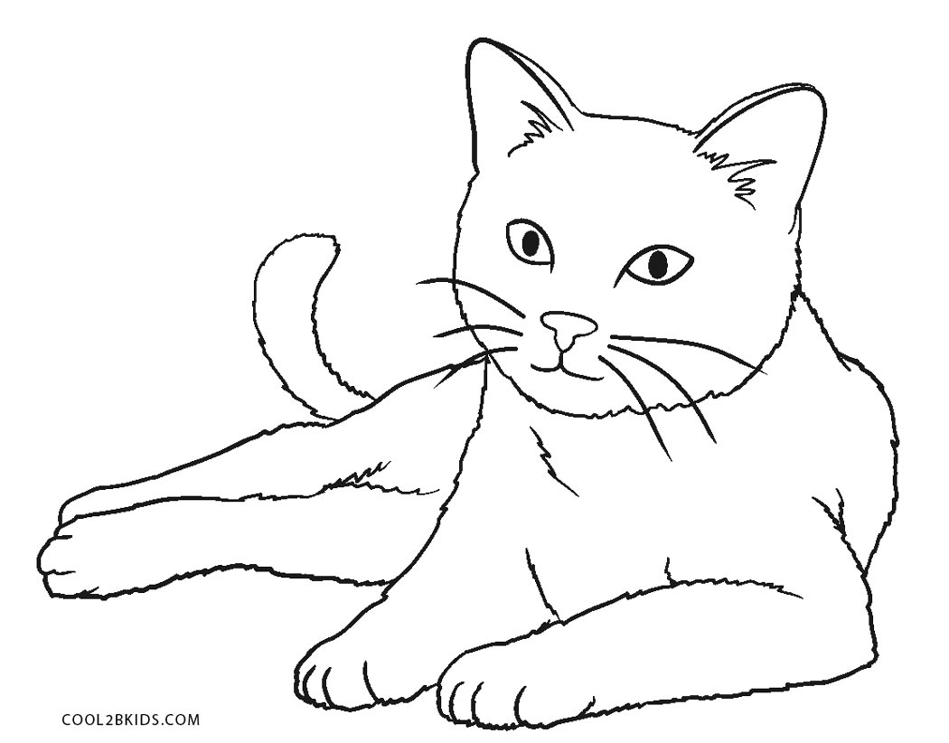 Desenhos De Gato Para Colorir Páginas Para Impressão Grátis