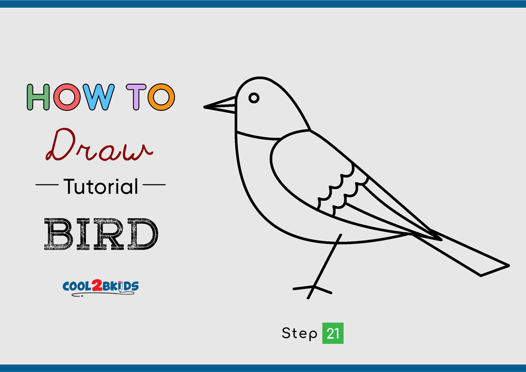 How to Draw a Bird - Cool2bKids