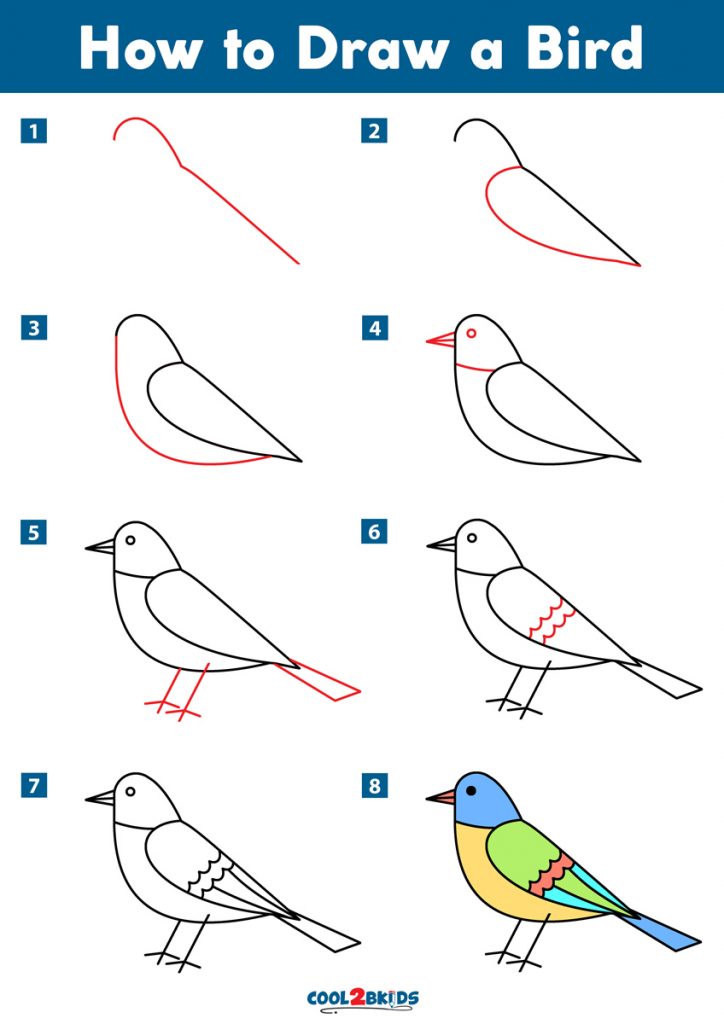 How To Draw A Bird Cool2bKids