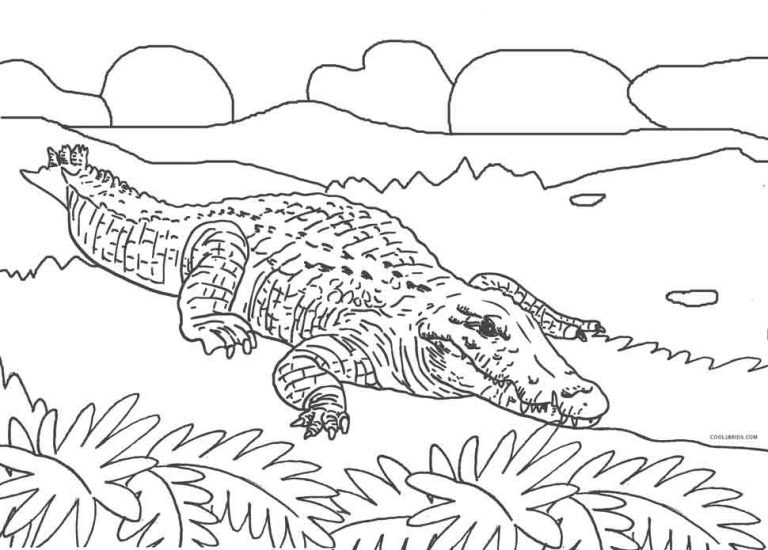 Dibujos de Caimán para colorear - Páginas para imprimir gratis Dibujos de Caimán para colorear - Páginas para imprimir gratis