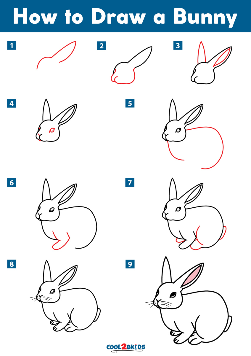 How To Draw A Bunny Cool2bKids