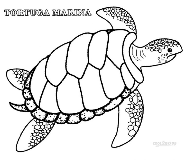 Dibujos De Tortuga Marina Para Colorear Páginas Para Imprimir Gratis