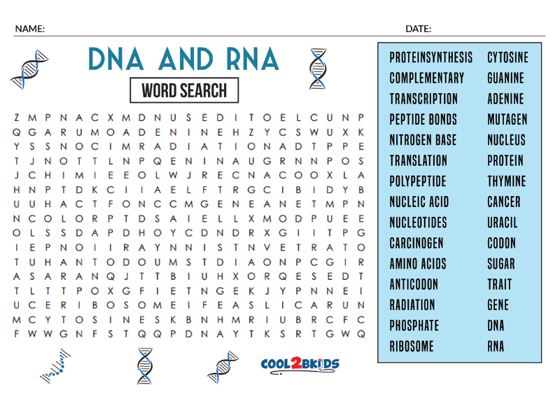 Printable DNA Word Search - Cool2bKids