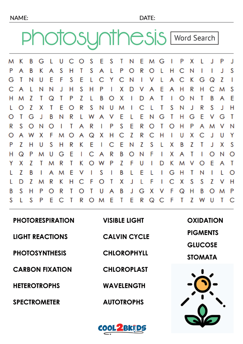 Printable Photosynthesis Word Search - Cool2bKids