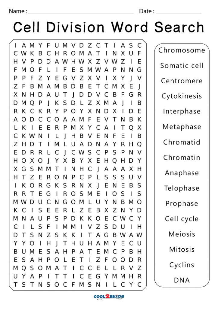 Printable Cell Word Search printable-cell-word-search