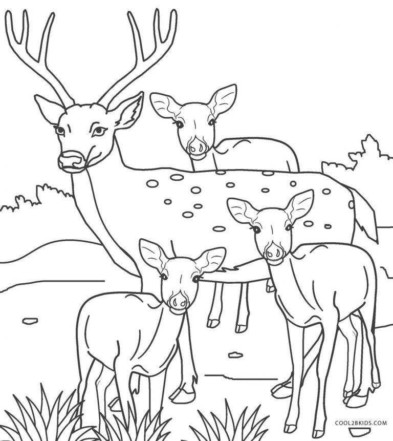 Cervo da Colorare - Disegni per Bambini da Stampare
