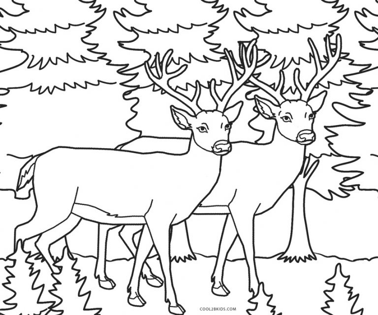 Cervo da Colorare - Disegni per Bambini da Stampare